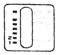 Automatic transmission (General information / User manual / Ford ...